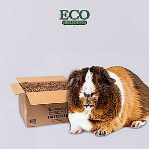 Eco Bedding 99% Dust-Free Paper Bedding for Small Pets & Birds, Eco Natural, 4.5L - Safe, Clean & Comfortable Nesting Material, Ammonia Blocker