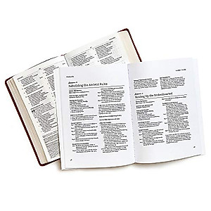 Breaking Free - Bible Study Book: The Journey, The Stories