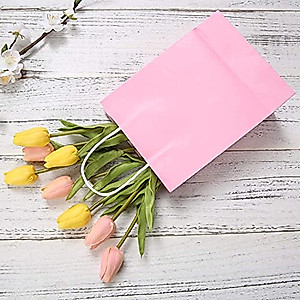 24Pcs Birthday Gift Bags Multicolor Pastel Portable Bags Party Treat Paper Kraft Favor Sweet 8.7x6.3x3.2inches Candy Gift with Handles for Party Wedding Celebrations (Small)