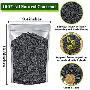 Legigo 4QT All Natural Horticultural Charcoal- Activated Hardwood Plant Charcoal for Soil Amendment, Conditioning Bonsai Soil, Succulent Soil, Terrarium Supplies, Indoor Plant Potting Soil