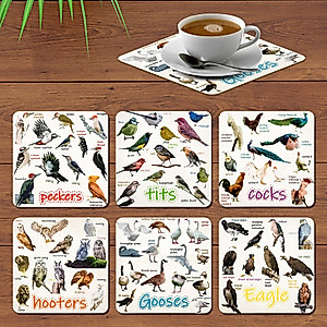 Set of 6 Bird Pun Coasters, Bird Pun Coasters for Drinks, Square Coaster Set for Cups Home Funny Coasters Set for Bird Lover Friends Bar Housewarming Gift Coffee