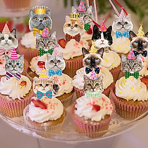 Wxiben Cat Birthday Party Decorations - 40PCS Cat Cupcake Toppers Decor Cute Cat Birthday Cake Decorations Supplies Kitten Pet Cupcake Toppers for Birthday Party Baby Shower Cats Face Cake Toppers