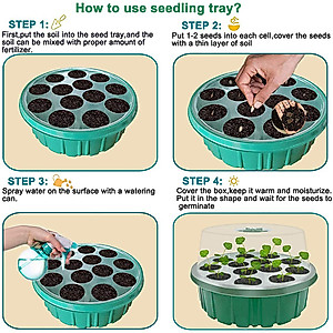 Dsxnklnd 12 Hole Seed Starter Tray Set Humidity Adjustable Seed Starter Kit with Dome and Mini Greenhouse Grow Trays for Growing Starting