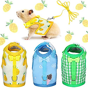 3 Pieces Guinea Pig Harness with Leash Small Pet Harness Fruit Plaid Pattern Adjustable Padded Walking Vest for Pet Hamster Ferret and Squirrel Small Animals (Pineapple, Blue, Green Plaid, Small)