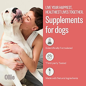 Ollie Chill Pills Calming Supplements for Dogs - Anxiety Relief for Dogs - Calming Bites for Dogs - Dog Melatonin - Dog Stress and Anxiety Relief - Calming Chews for Dogs - 60 Count Appx.