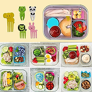 Qefuna 12 Pcs Silicone Lunch Box Dividers, 10PCS Food Picks, 6x1.7 oz Salad Dressing Container To Go, Lunch Accessories for Bento Box
