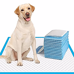 IMMCUTE Extra Large Dog Pee Pads 28"x30"-50 Count | X-Large Puppy Pee Training Pads Super Absorbent & Leak-Proof | Disposable Pet Piddle and Potty Pads for Puppies | Dogs | Doggie
