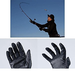 DAIWA 21DG-7221 Offshore Power Gloves, Majolica Blue, M