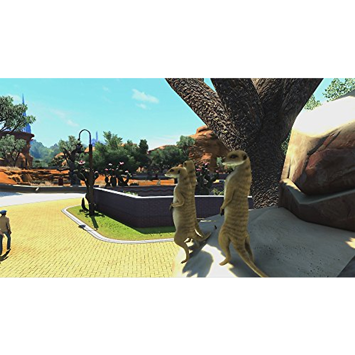 Zoo Tycoon Definitive Edition - XBONE