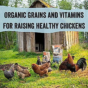 Scratch and Peck Feeds Naturally Free 18% Protein Organic Layer Feed for Chickens and Ducks - Non-GMO Project Verified, Soy Free and Corn Free - 40 lbs