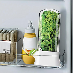 Adealed Herb Saver Storage Container Fresh Herb Keeper for Refrigerator Preservation Bottle for Parsley, Cilantro, Mint, and Vegetables- Kitchen Gadgets (1)