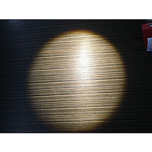 HomeFocus - LED Floor Lamp, Floor Lamp,Floor Light,Eye-Caring,Floor Lamp for Living Room,Bedroom,Metal,Satin Nickel,Flexible Gooseneck,LED 5W,3000K,Warm White Light,Energy Efficient Super Bright.