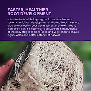 Lotus Nutrients Powdered Plant Nutrients Intro Pack: Grow, Bloom, Boost, and Cal/Mag - w/Nitrogen Calcium and Magnesium - for Hydroponics Coco Coir and Soil - Indoor and Outdoor Plants
