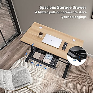 FARRAY Electric Standing Desk with Drawer, 45 x 24 Inch Adjustable Height Desk with Power Strip & USB Ports, One-Piece Top Stand Up Desk, Modern Sit Stand Desk (Oak Top + Black Frame)