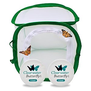Clearwater Butterfly Live Painted Lady Butterflies - Butterfly Growing Kit with Live Caterpillars - Mesh Cage Included - Butterfly Habitat - 10 Live Caterpillars to Butterflies - Live Butterfly Kit