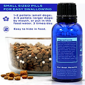 HealthyAnimals4Ever All-Natural Yeast Protection for Dogs - Effective Homeopathic Support for Yeast Infections - Preventive Care for Skin and Ear Health - 300 Dog Yeast Defense Tablets