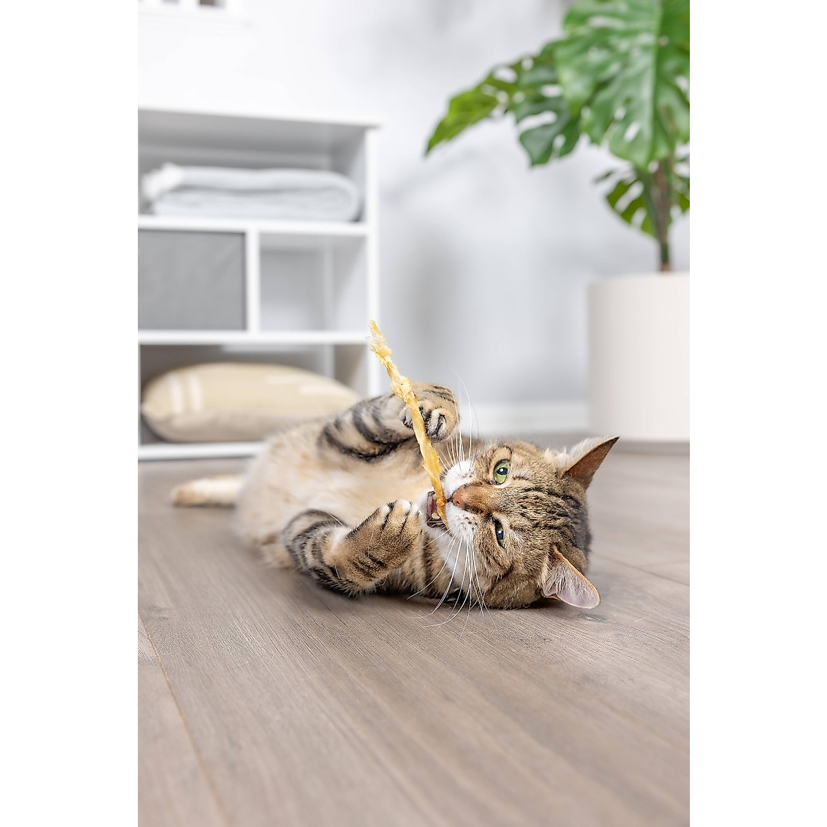 Natural Cravings: USA Turkey Tendons - 8 oz - Dog & Cat Chew, All Sized Pets, Light Chewers, Slow Roasted Single Ingredient Treat, Preservative Free