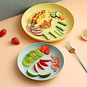 ROLTIN ?Kitchen Dinner Plates Sets Round Plate Dish Plate Household Fruit Bowl Dish Kitchen Dish Plate for Salad Candy Dessert Fruit Pastry Plate Set 4-pack Ceramic Flat Plates
