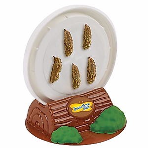 Insect Lore - Butterfly Growing Kit - Clear Front Facing Viewing Panel - Pre-Paid Voucher to Redeem Caterpillars Later – Life Science & STEM Education – Butterfly Science Kit