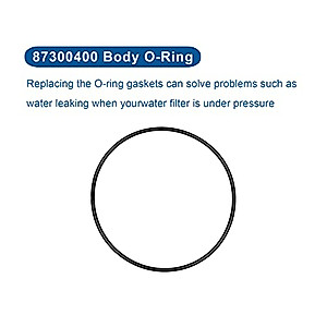 87300400 O-343 Body O-Ring for Pentair Pool & Spa Filter