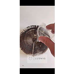 Snuffle Paw Accordion for Cats - Magic Organ Cat Scratching Board - Interactive Cat Scratching Board - Magic Cat Grinding Claw Board - Cat Scratching Magic Toy, (l1)