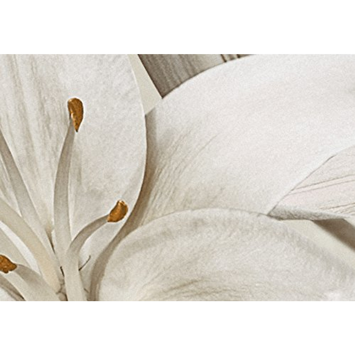 artgeist Textured Canvas Wall Art Flowers Lily 80x40 in - 5pcs Painting Canvas Prints Picture Artwork Image Framed Contemporary Modern Photo Wall Home b-A-0309-b-o