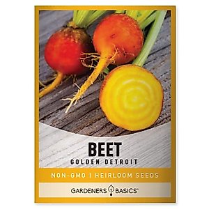 Beet Seeds for Planting Golden Detroit Heirloom Non-GMO Golden Beets Plant Seeds for Home Garden Vegetables Makes a Great Gift for Gardeners by Gardeners Basics