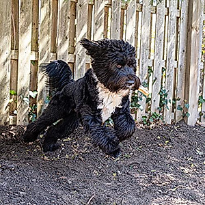 Cadet Premium Grade Pressed Beef Hide Bones 6.5 Inch, 12 Pack