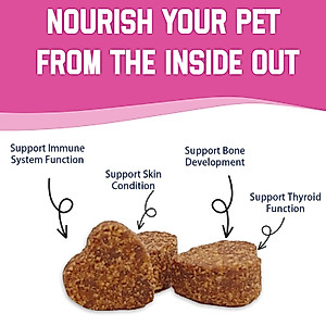 Pet Glucosamine Chondroitin MSM Joint Supplement for Dogs& Cats, Hip & Joint Pain Relief Soft Chews with Vitamin C, A & D3, 170 Chews