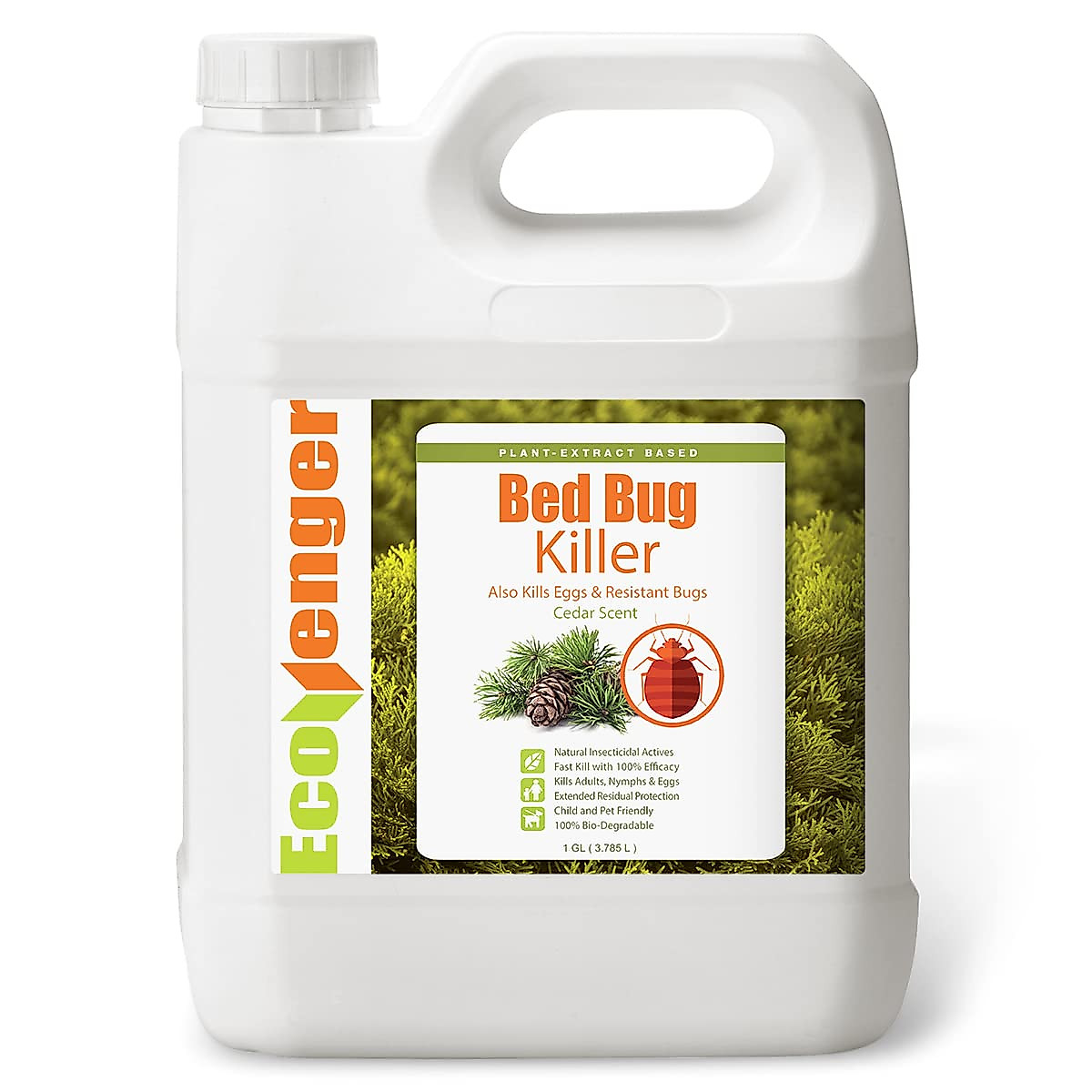 EcoRaider Bed Bug Killer Spray, Green + Non-Toxic, 100% Kill + Extended Protection (1 Gallon)