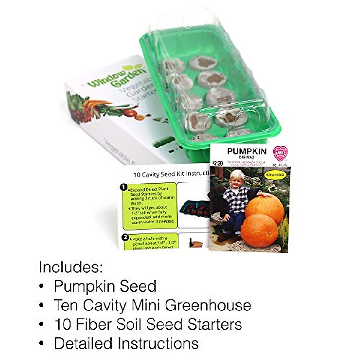 Window Garden - Pumpkin Vegetable Starter Kit - Grow Your Own Food. Germinate Seeds on Your Windowsill Then Move to a Patio Planter or Vegetable Patch. Mini Greenhouse System - Easy. (Pumpkin)