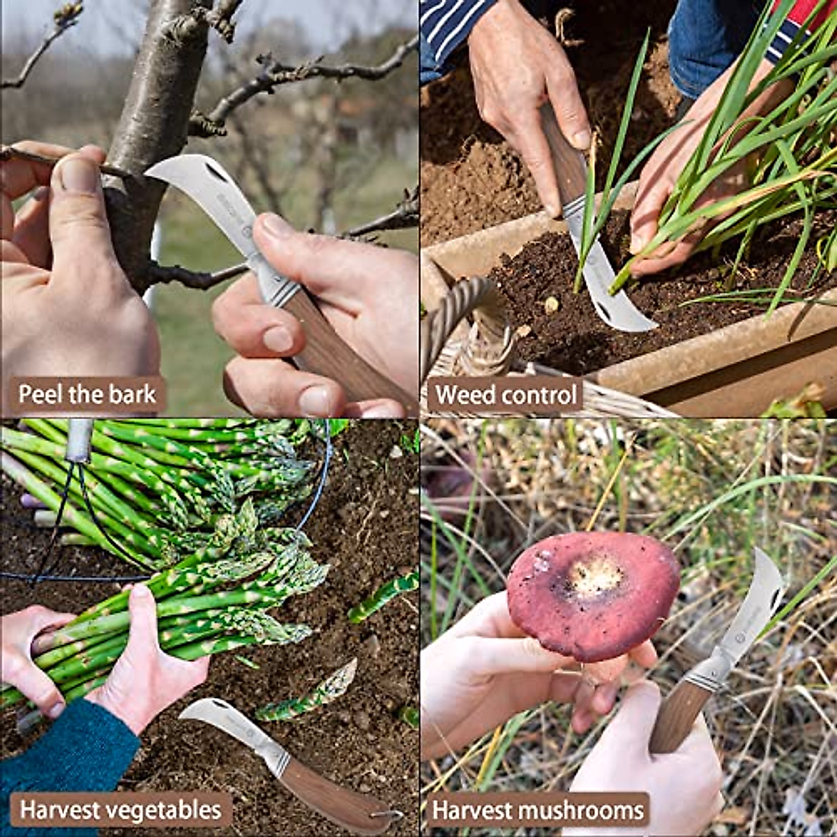 BaiCarre Pruning Knife,Folding Garden Knife,Stainless Steel Grafting Knife,Garden Budding Pocket Knife for Grafting Multi Cutting Tool, Weed Bushes Branches Mushroom Diggig Weeding Knife