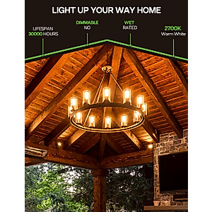 Edison LED Light Bulbs, 6W Equivalent 60W, Warm White 2700K, Non-Dimmable, 600LM, 85+CRI, ST58 Vintage Clear Glass Filament Light Bulbs, E26 Medium Base, Pack of 12