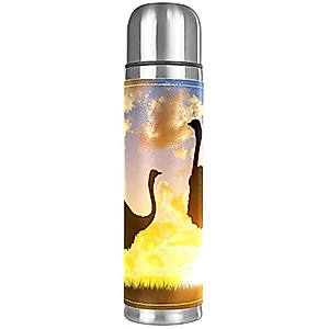 Ostrich African Sunset Vacuum Insulated Water Bottle Stainless Steel Thermos Flask Travel Mug Coffee Cup Double Walled 17 OZ