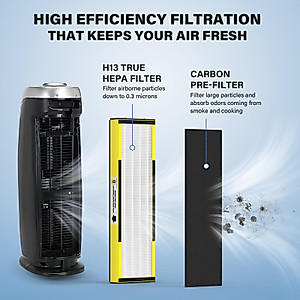 4 Pack FLT4825 HEPA Filter B Replacement Compatible with AC4825 AC4825E AC4300 AC4800 AC4900 AC4850, 4 True HEPA Filters & 6 Activated Carbon Pre-filters