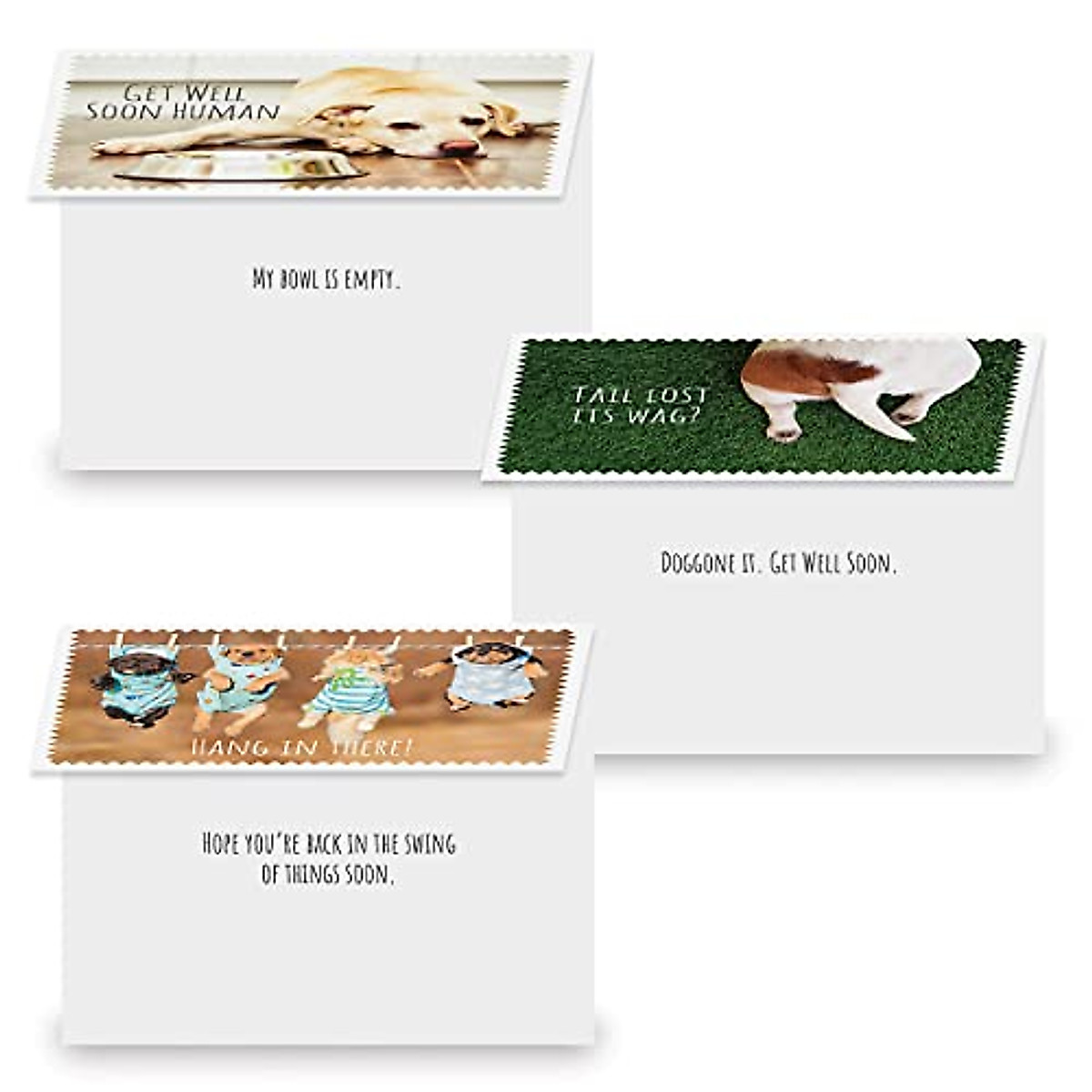 Current Furry Friends Get Well Greeting Cards Value Pack - Set of 20, 10 Unique Designs, Large 5 x 7 Inch Cards, Sentiments Inside, Dogs, Cats, Pets