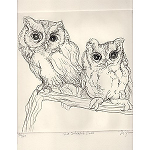 Two Screech Owls