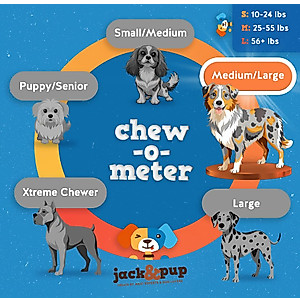 Jack&Pup Thick Bully Sticks 12 Inch Premium Dog Bully Sticks for Large Dogs Aggressive Chewers - All Natural Bully Sticks Odor Free 12" Large Bully Sticks, Long Lasting Dog Chews Bully Stick (5 Pack)