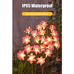 SNUGBERI 2 Pack Outdoor Solar Camellia Lights with 20 Head Flower, Color Changing LED Camellia Flower Landscape Pathway Lights Waterproof Solar Flower Lights for Garden Patio Yard Lawn