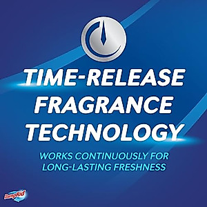 DampRid Hi-Capacity Moisture Absorber Bucket, Fresh Scent, 2 lb. 15.5 oz. & Moisture Detection Strip (2 Pack), Attracts & Traps Excess Moisture