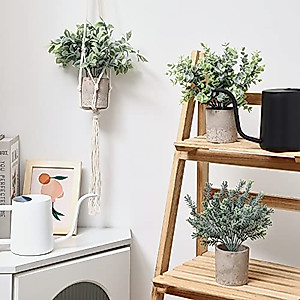 CEWOR Fake Hanging Plants 3 Pack Artificial Plants with 3 Macrame Plant Hangers Mini Potted Fake Plants Faux Plastic Eucalyptus Rosemary Plants for Home Office Bathroom Kitchen Farmhouse Room Decor