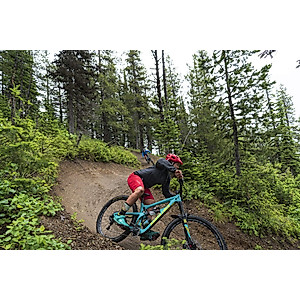 VISION SIX Impression, Parks Edition, Running and Cycling Socks (Zion, X-Large)