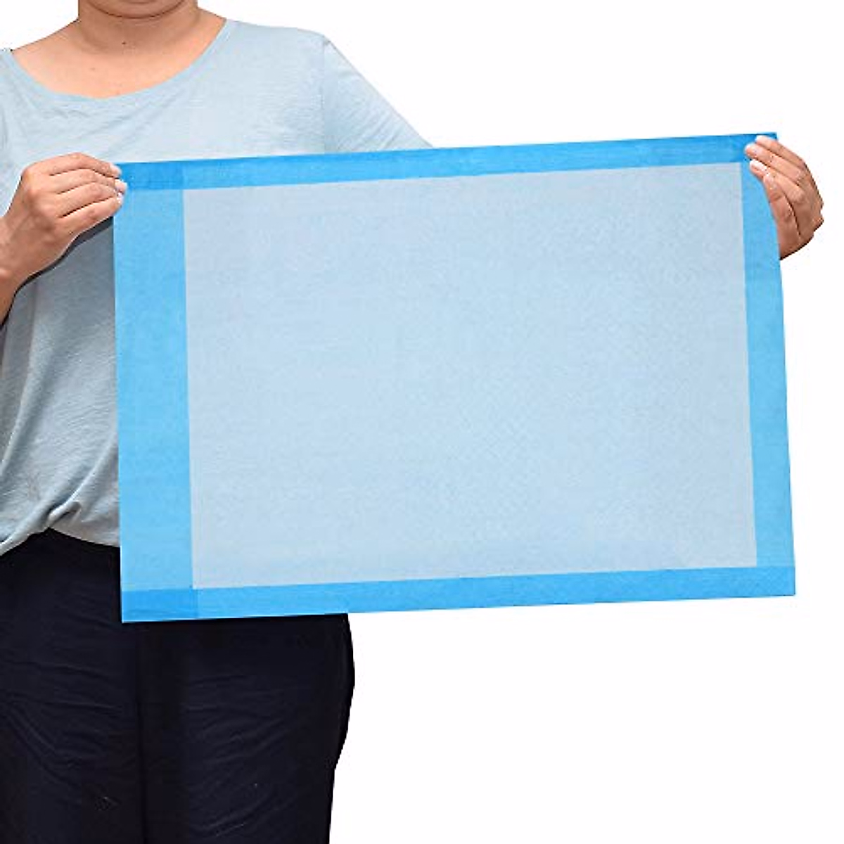 Dealmed Standard Non-Sterile Medical Underpads, 100 Count Disposable 2-Ply Tissue Fill, 24" x 17", Blue, 100 Count, Perfect for Pet Pads, Furniture Protection and More, 100 Count (1 Pack)