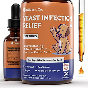 Natural Yeast Infection Treatment for Dogs | Helps to Support Itch Relief, Scratching Relief & Much More | Ear Infection Treatment for Dogs | Dog Ear Infection Treatment | 1 fl oz