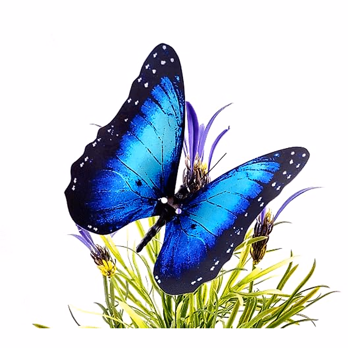 Flexinol Moving Butterfly (Blue Morpho)