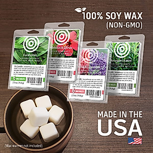 I & Candle, (Set of 4) Eucalyptus / Hibiscus & Citrus / Rose & Lavender / Rosemary & Mint Aromatherapy Wax Melts. 100% Soy Wax Non-GMO. Made in the USA