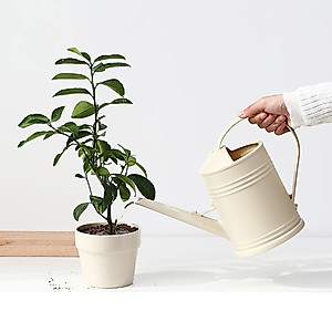 Watering Can for Indoor Plants, Flower Watering Can, Water Can for Plants, Indoor Watering Can with Sprinkler Head 68 oz, 1/2 Gallons