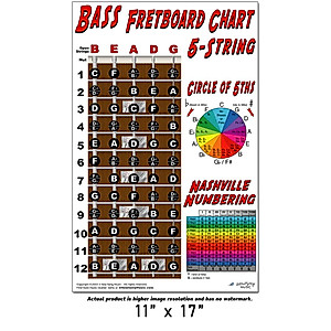 5 String Bass Fretboard Poster - Nashville Numbering System, Circle of 5ths, Notes Instructional Chart | A New Song Music | 11x17