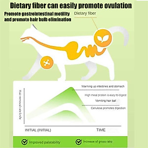 Xeletu Cat Grass Teething Stick - Cat Grass Teething Stick Chicken, Cat Chew Stick Natural Molar Rod, Cat Grass Sticks for Increase Appetite and Hairball Removal and Cat Teeth Cleaning (2 Pcs)