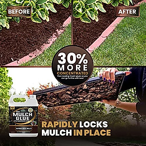 PetraTools Mulch Glue, Mulch Binder Glue, Small Gravel Binder, Landscape Adhesive, Small Gravel Stabilizer, Glue for Landscape, Small Pebble Glue, Landscape Lock (1 Gal)